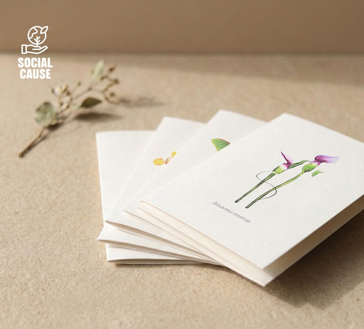 Buy Unusual Blooms Note Cards Online | India Circus