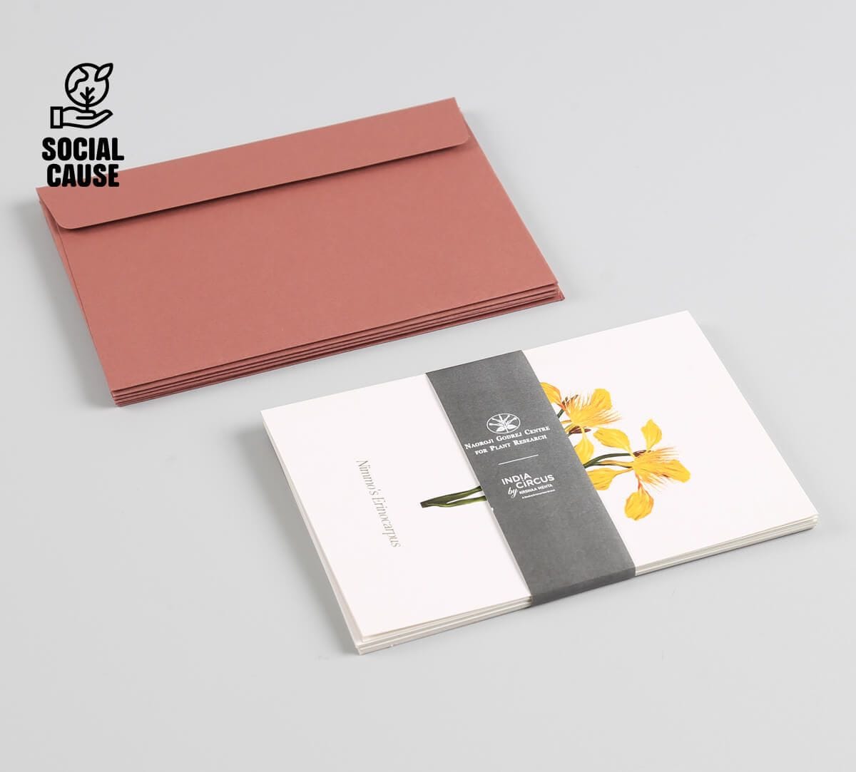 Buy Unusual Blooms Note Cards Online | India Circus