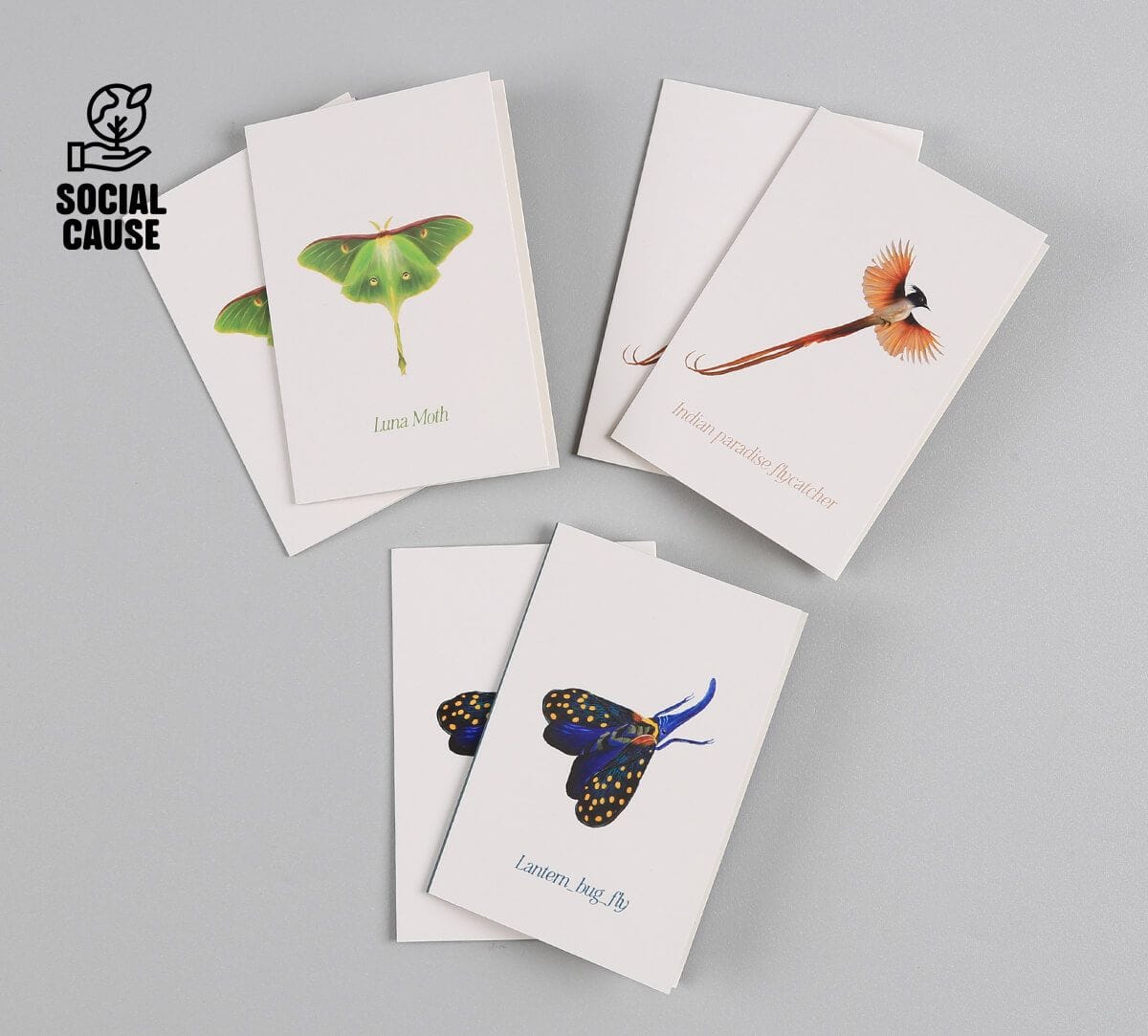 Buy Birds and Bugs Gift Tags Online | India Circus